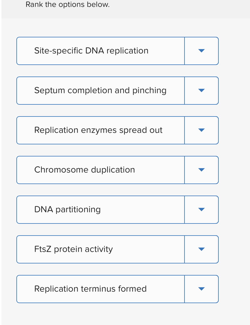 Solved Place the description of the binary fission stage in | Chegg.com