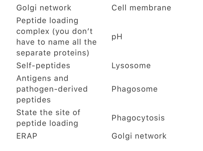 Solved flowchart or concept map to detail the process of | Chegg.com