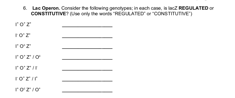 Solved Lac Operon. Consider the following genotypes; in each | Chegg.com