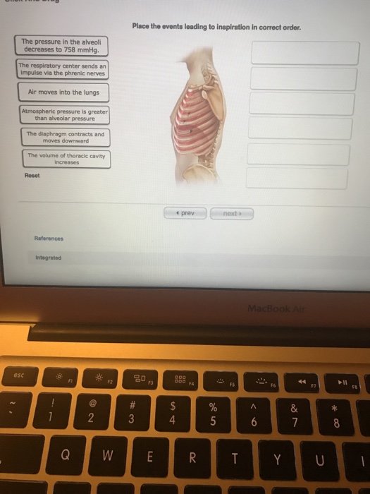 Solved Place the events leading to inspiration in correct | Chegg.com