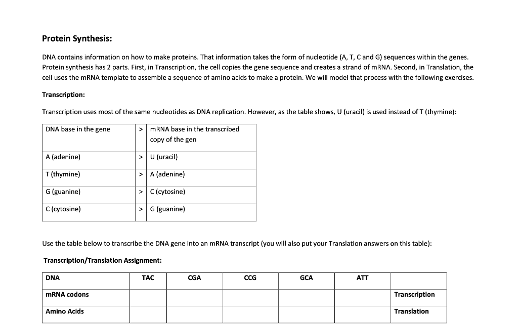 Solved Protein Synthesis: DNA contains information on how to | Chegg.com