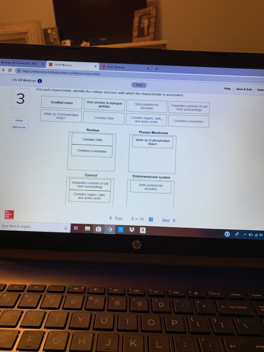 Solved scc x 003 workout html mheducat Help Save out The | Chegg.com