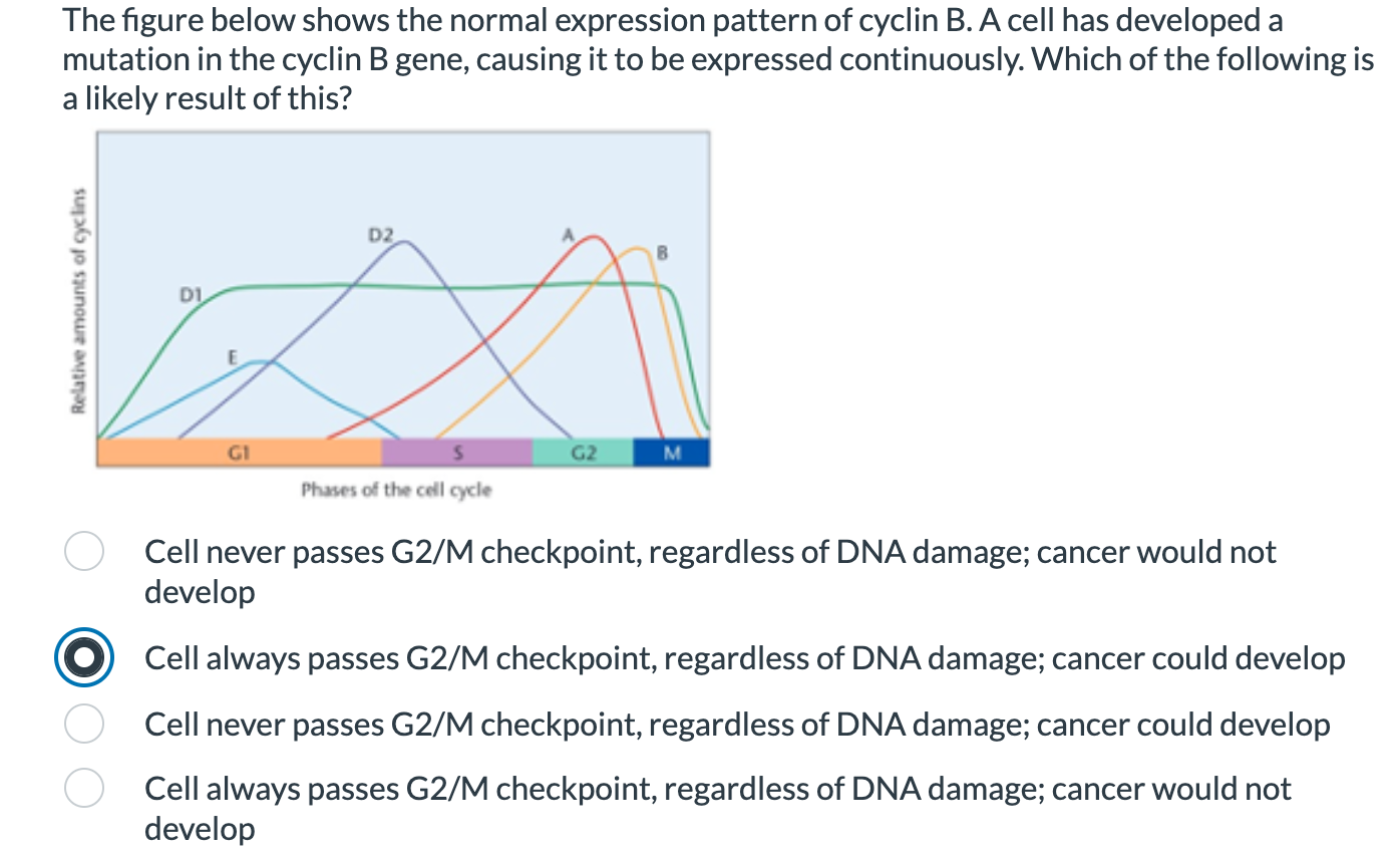 Solved The figure below shows the normal expression pattern | Chegg.com
