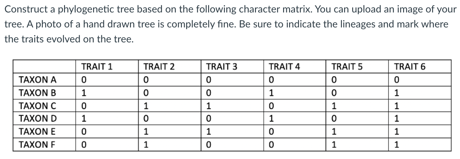 Solved Construct a phylogenetic tree based on the following | Chegg.com