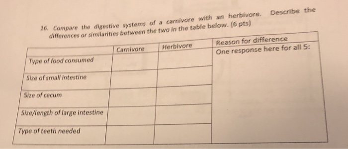 Solved 16. Compare the digestive systems of a carnivore with | Chegg.com