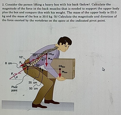 Solved 2. Consider the person lifting a heavy box with his | Chegg.com
