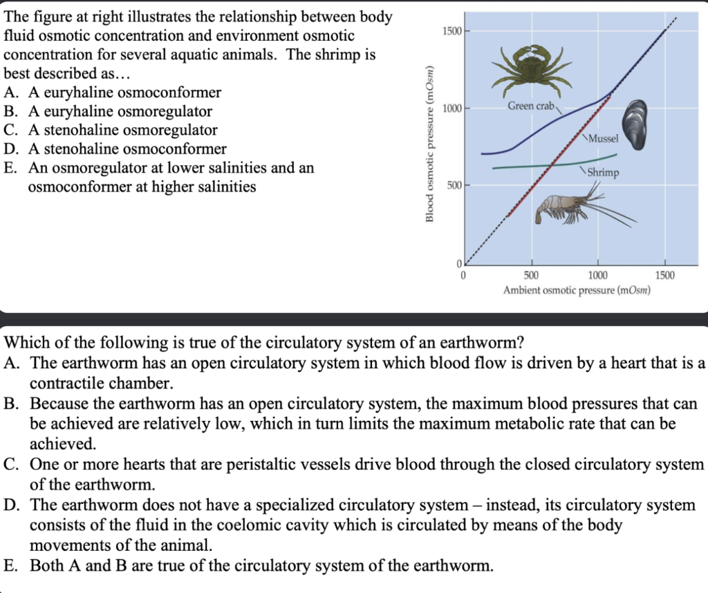 Solved The figure at right illustrates the relationship | Chegg.com