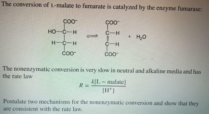 The conversion of L-malate to fumarate is catalyzed | Chegg.com