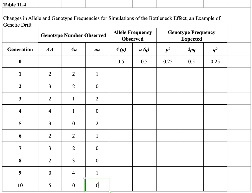 Solved Table 11.4 Changes in Allele and Genotype Frequencies | Chegg.com