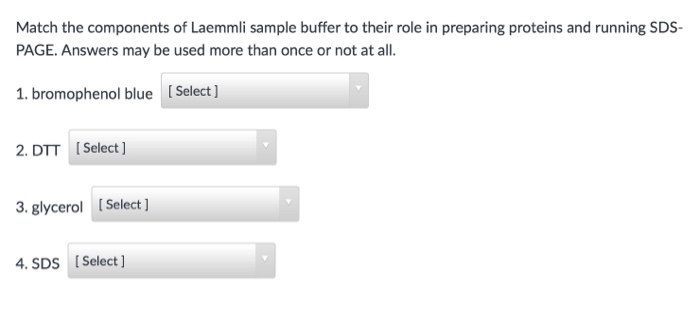 Solved Match the components of Laemmli sample buffer to | Chegg.com
