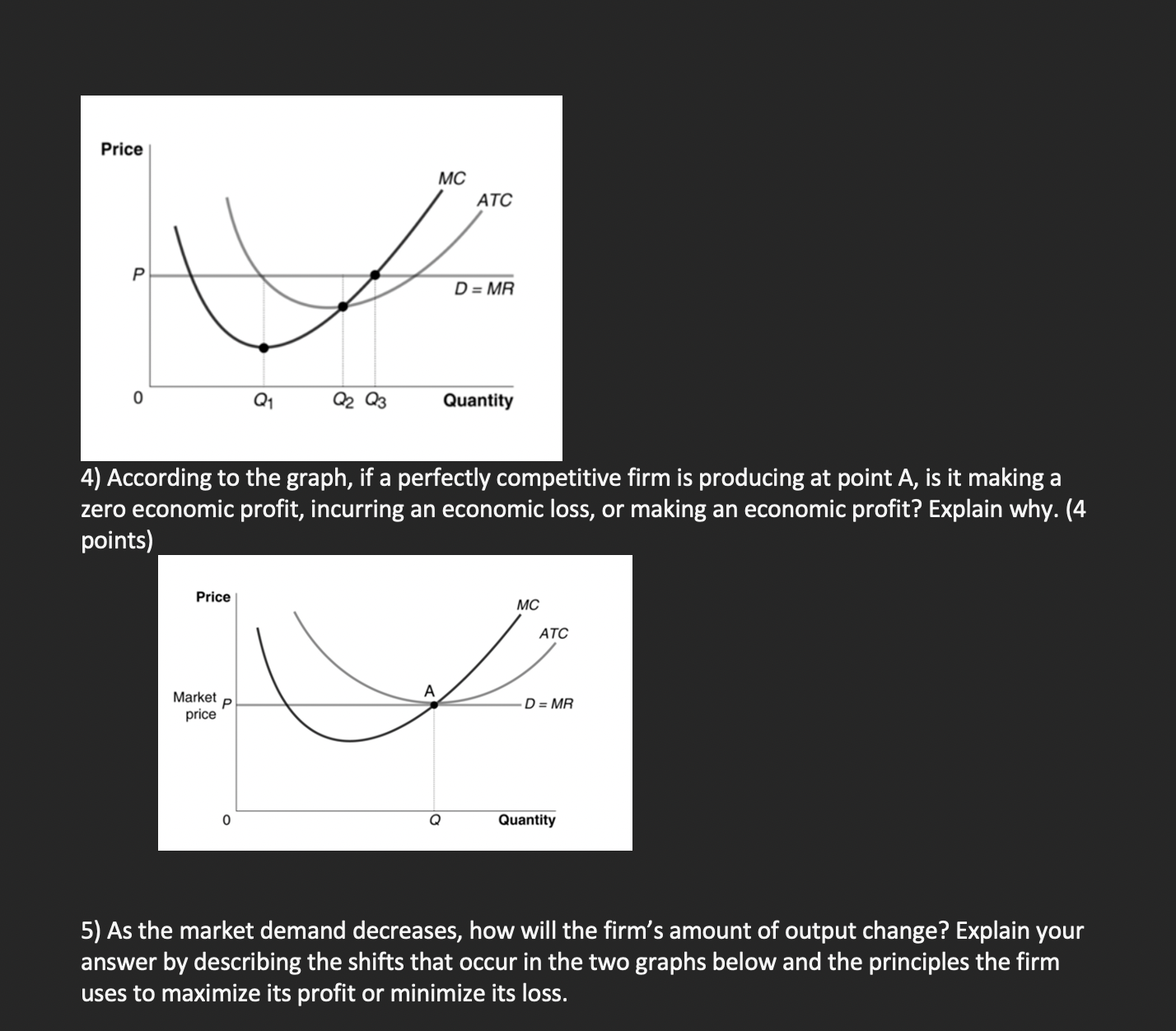 Solved Assignment 5: Perfect Competition Questions This | Chegg.com