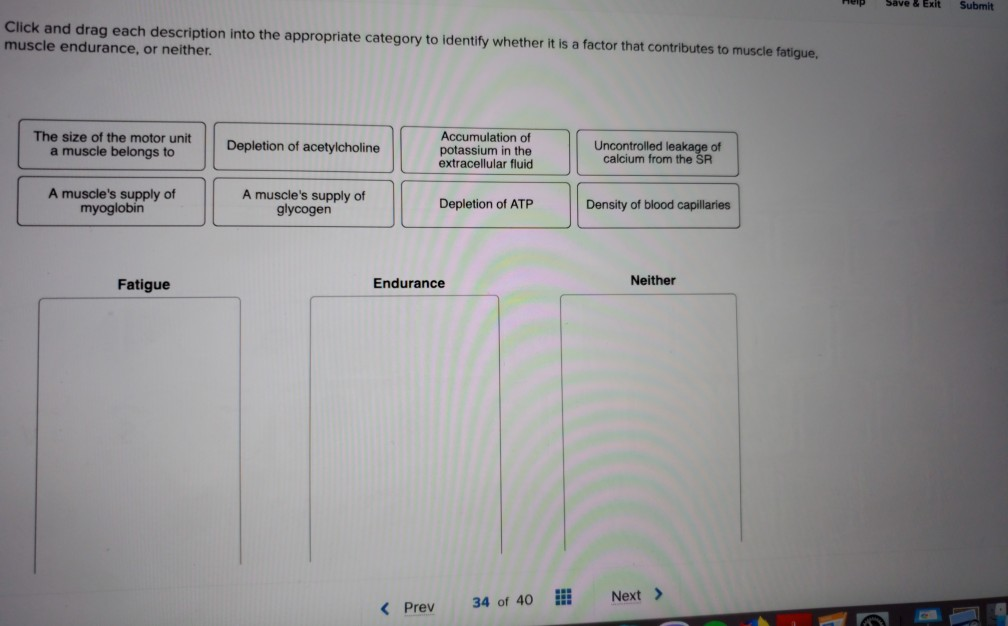 Solved LA Submit Click and drag each description into the | Chegg.com