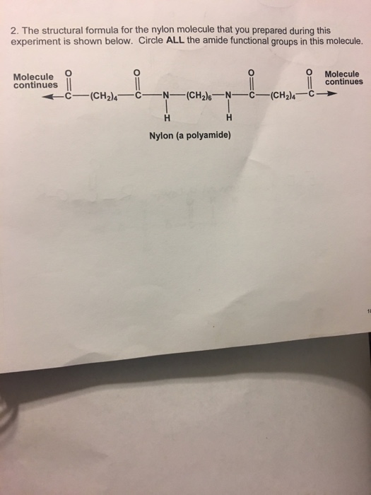 Solved 2. The structural formula for the nylon molecule that | Chegg.com