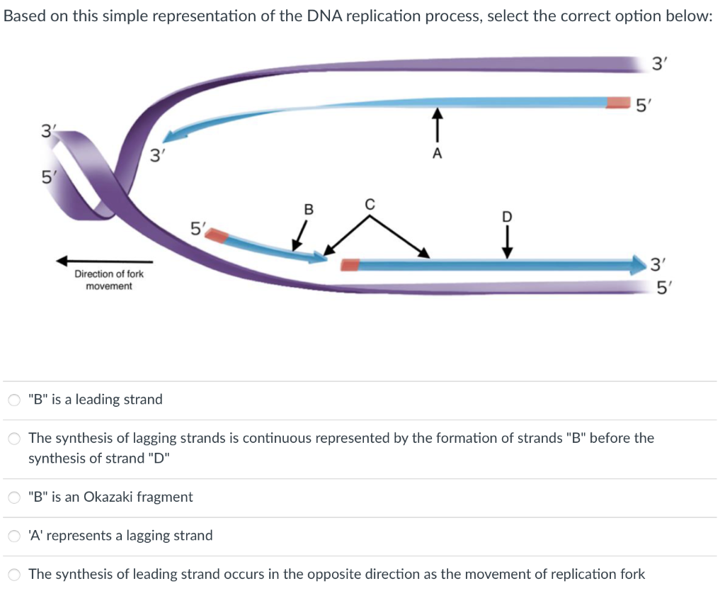 Solved PLEASE HELP ALL A. During transposition, | Chegg.com