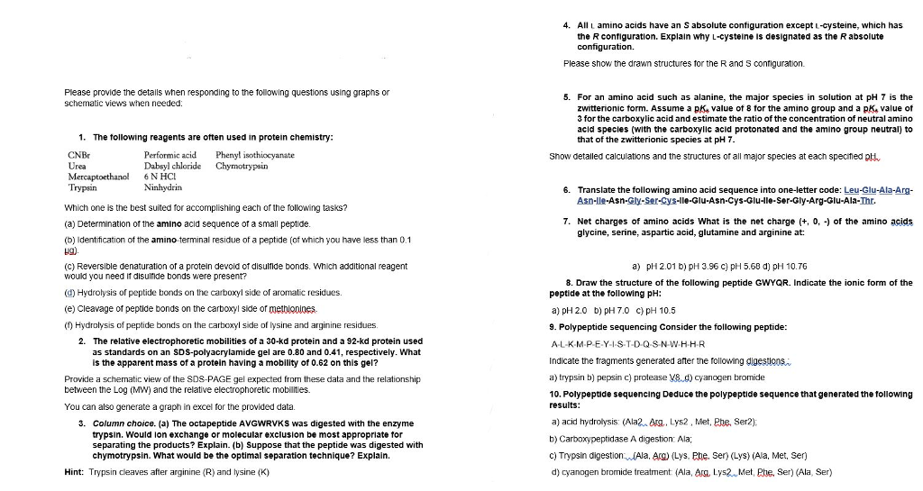 Solved 4. All L amino acids have an S absolute configuration | Chegg.com