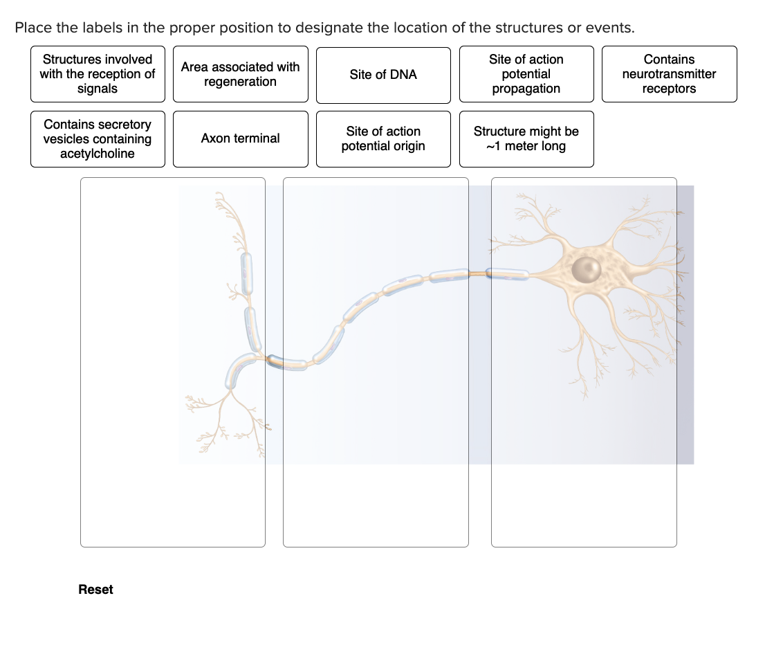 Solved er | Chegg.com