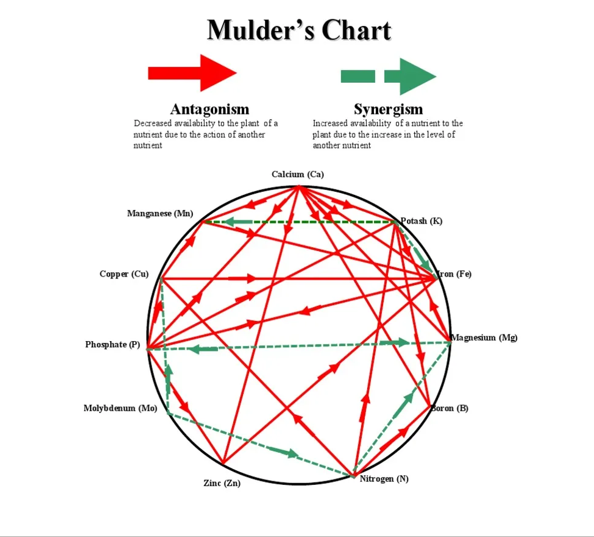 Solved 5. Using Mulder’s chart and/or pH availability chart: | Chegg.com