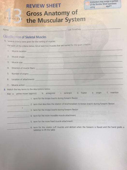 Solved Instructors may assign a portion of the Review Sheet | Chegg.com