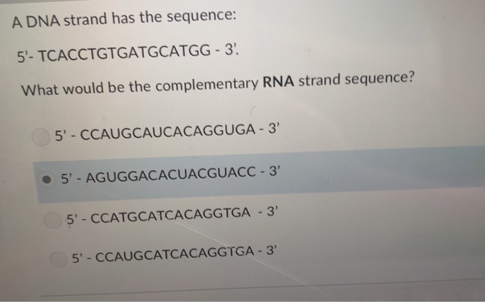 Solved A DNA strand has the sequence: 5'- | Chegg.com