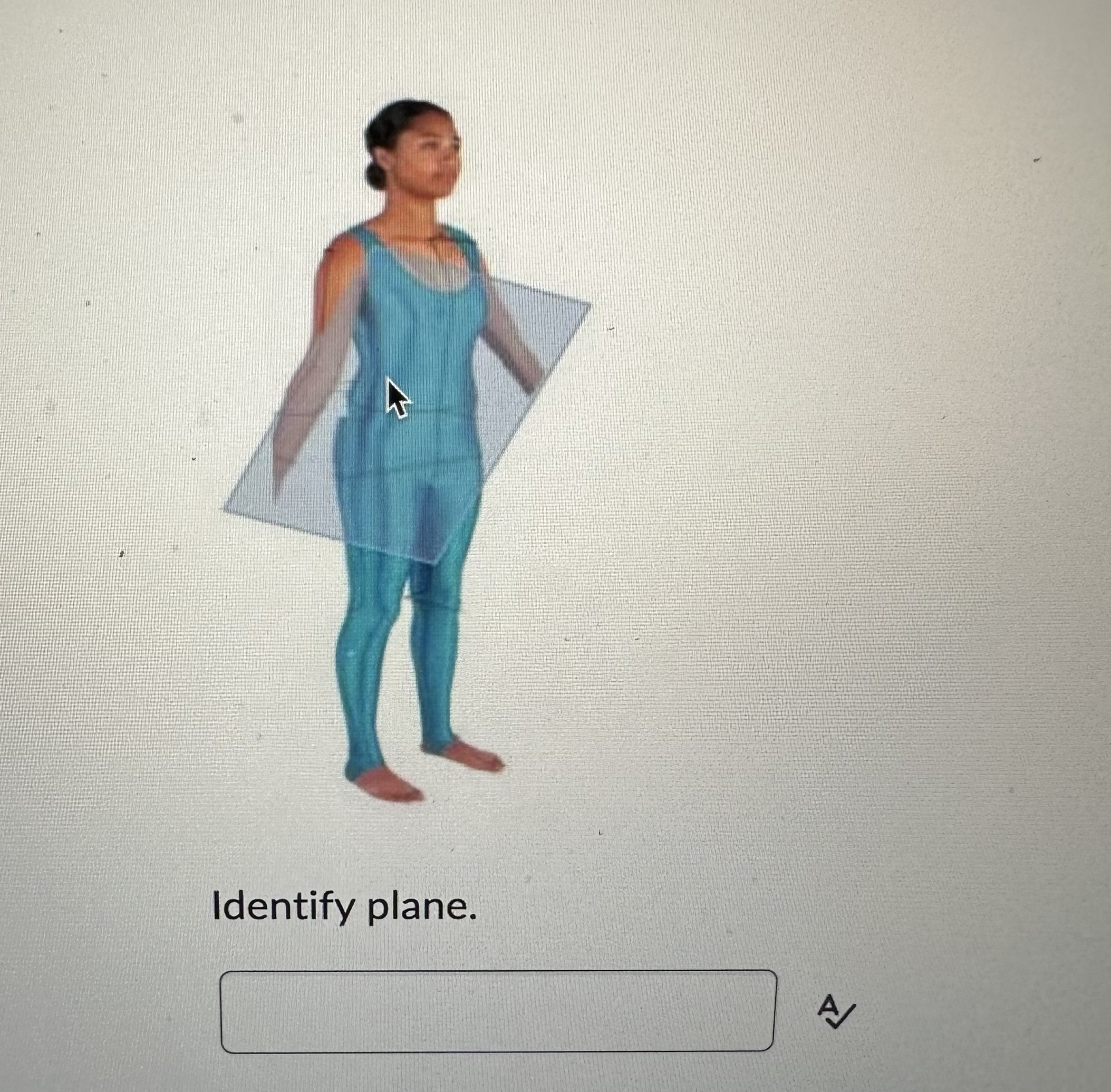 Solved Identify plane. | Chegg.com
