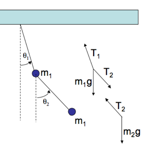 Solved Considering a double pendulum, does the magnitude and | Chegg.com