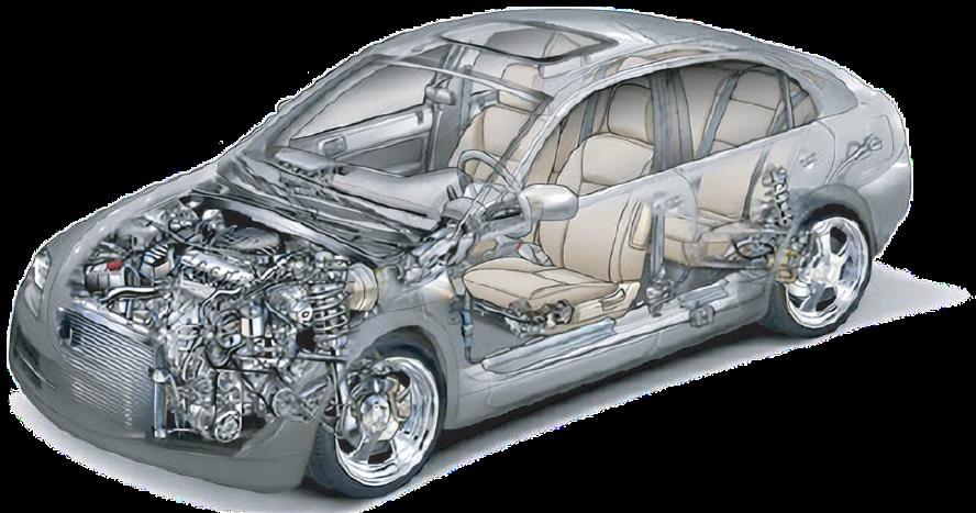 Solved Identify THREE formed parts that can be found within | Chegg.com