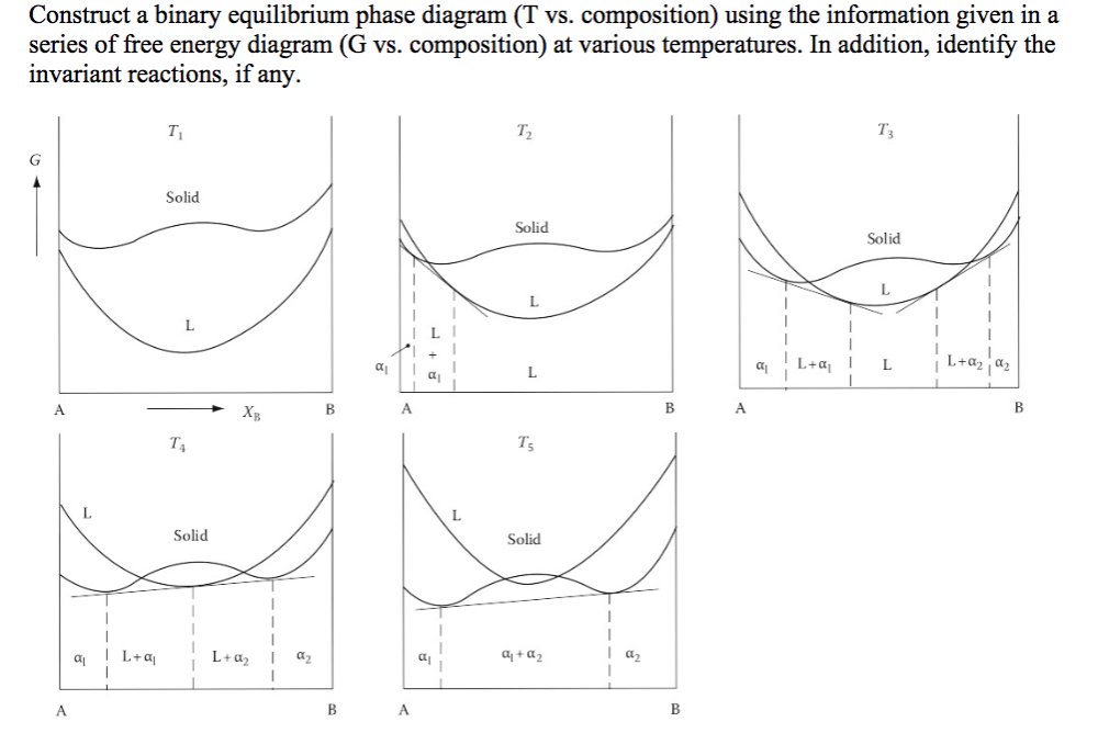 Solved Construct a binary equilibrium phase diagram (T vs. | Chegg.com