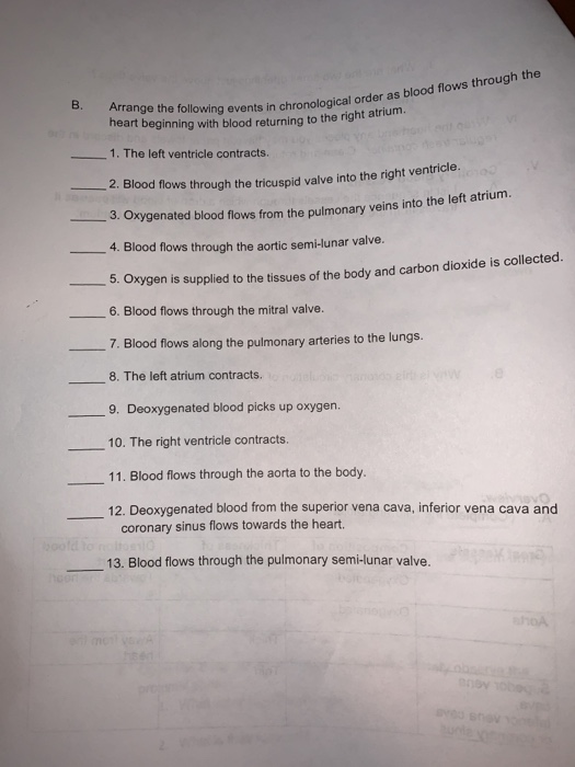 Solved Arrange the following events in chronological order | Chegg.com