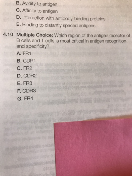 Solved B. Avidity to antigen C. Affinity to antigen D. | Chegg.com