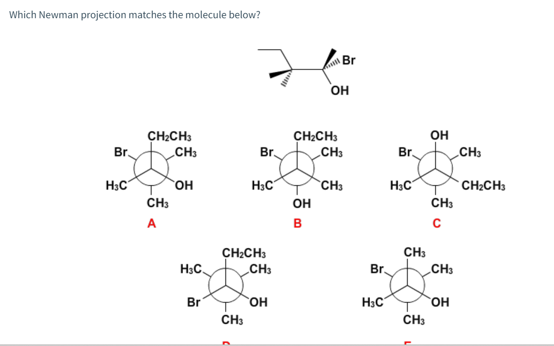 Solved Which Newman projection matches the line structure | Chegg.com