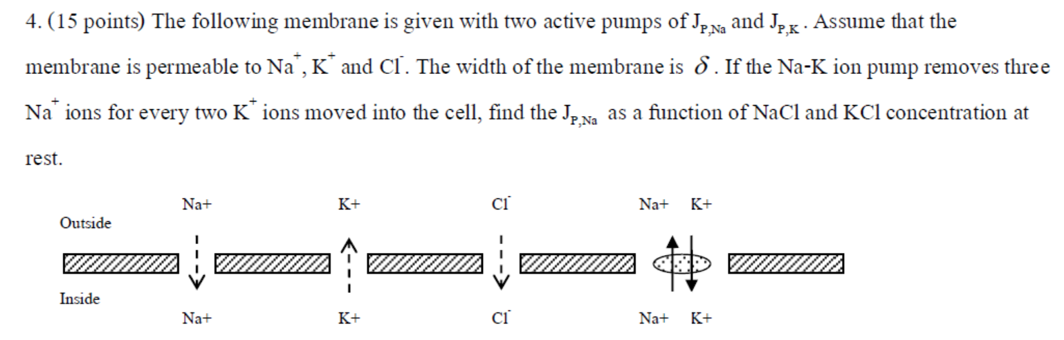 Solved 5. (10 points) Draw an equivalent circuit model for | Chegg.com