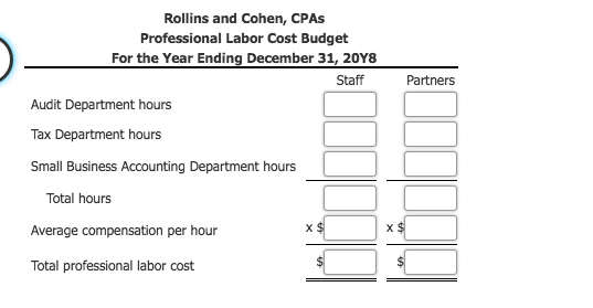 Solved Professional Labor Cost Budget for a Service Company | Chegg.com