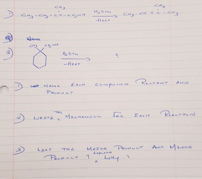 Solved CH 3 CH3 PRoD XPLATA | Chegg.com