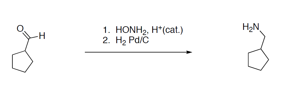 Solved H2N 1. HONH2, H+(cat.) 2. H2 Pd/C | Chegg.com