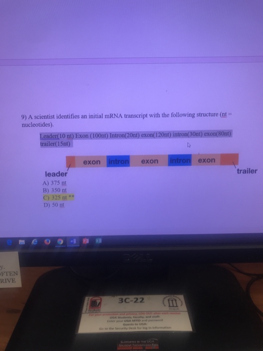 Solved 9) A scientist identifies an initial mRNA transcript | Chegg.com