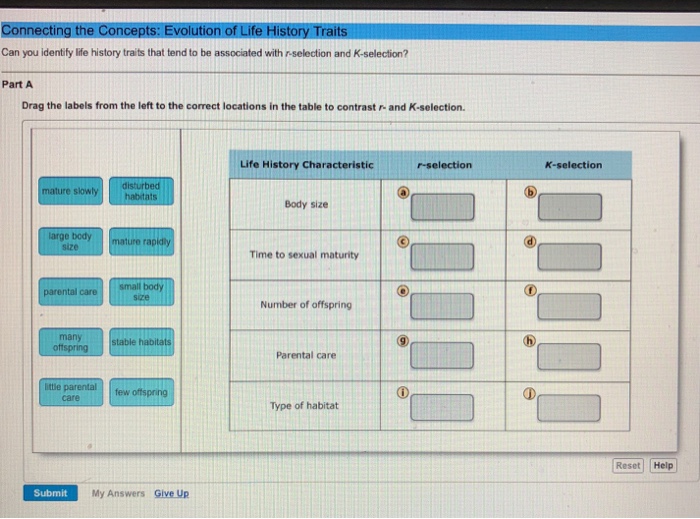 Solved Connecting the Concepts: Evolution of Life History | Chegg.com