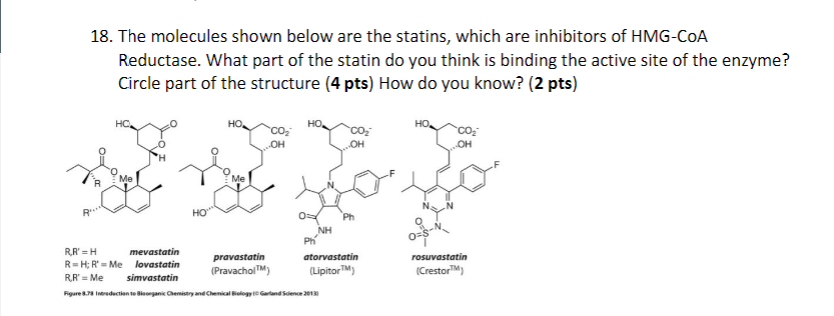 Solved 18. The molecules shown below are the statins, which | Chegg.com