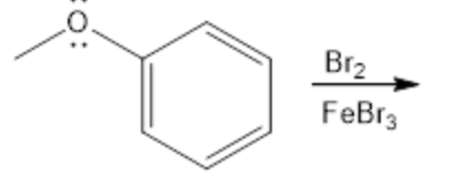 Solved FeBr3 Br2 | Chegg.com