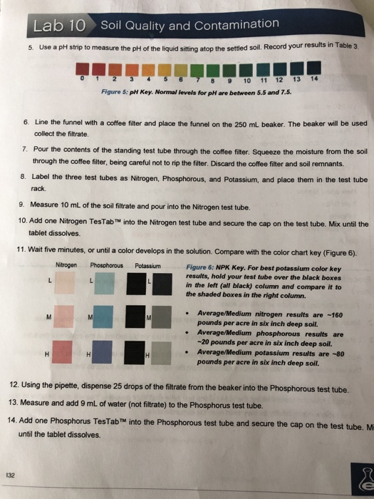Lab 10 Soil Quality and Contamination Experiment 2: | Chegg.com