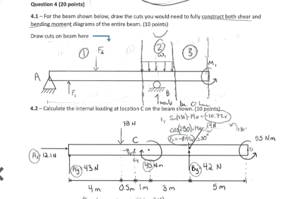 4.1 - For the beam shown below, draw the cuts you | Chegg.com