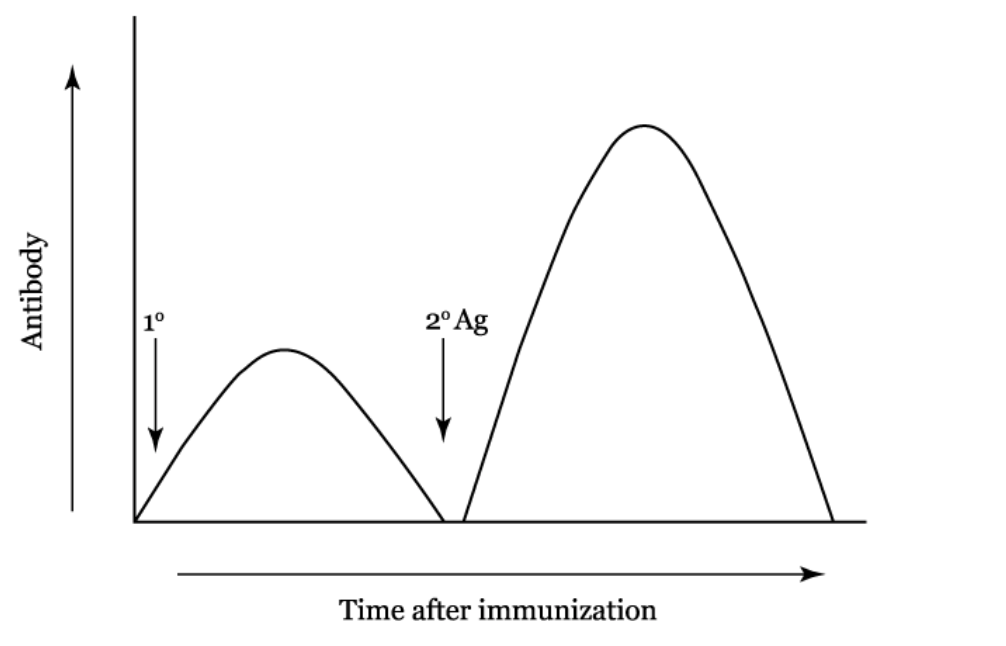 Solved Immunology please! Refer to the graph of | Chegg.com