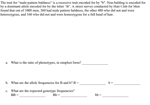 Solved The trait for "male-pattern baldness" is a recessive | Chegg.com