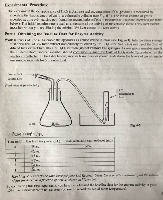 Lab 6: Enzyme Activity-30pts (including online | Chegg.com