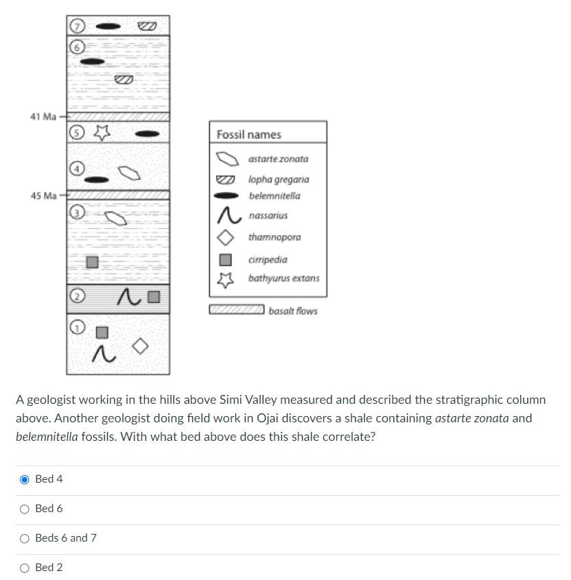 Solved 41 Ma a 45 Ma ん♡ Fossil names astarte zonata Z lopha | Chegg.com