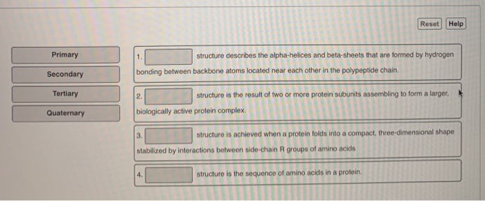 Solved Reset Help Primary Secondary Tertiary Quaternary | Chegg.com