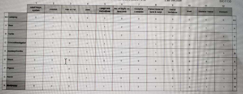 BIO1130 2. 3 do section 9 6 7 10 11 12 Adult Neph. | Chegg.com