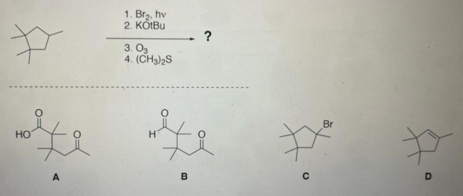 Solved 1. Br2,hv 2. KOtBu 3. O3 ? 4. (CH3)2 S A B C D | Chegg.com
