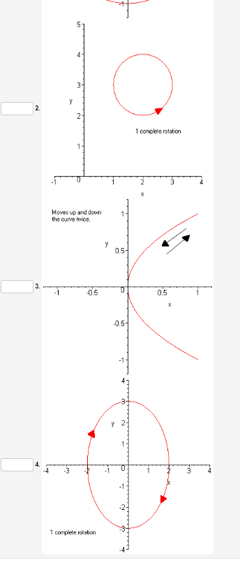 Solved Below you are given four parametric equations and | Chegg.com