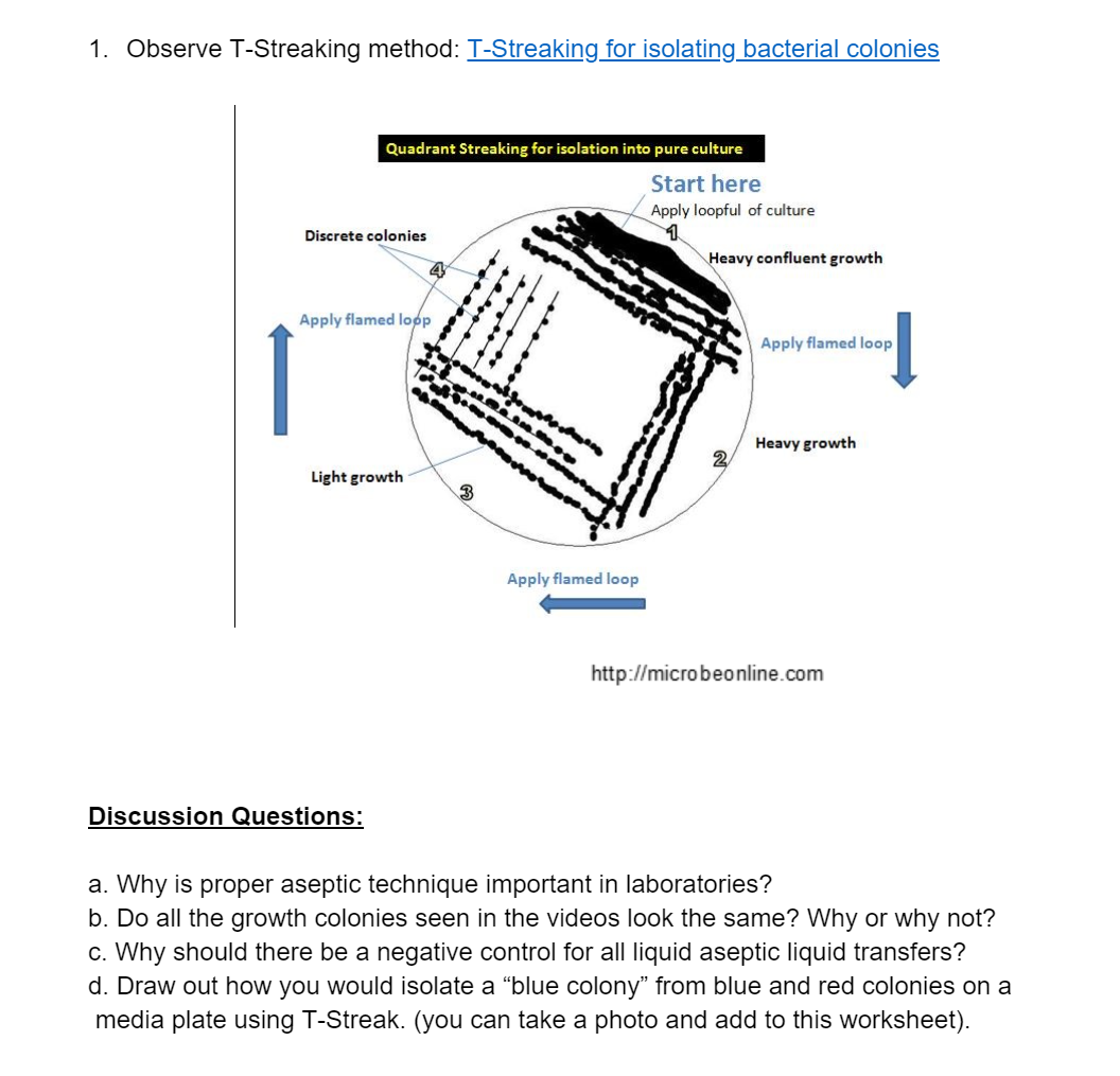 Solved 1. Observe T-Streaking method: T-Streaking for | Chegg.com