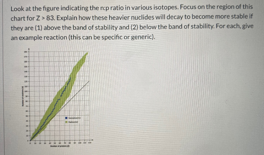 Solved Look at the figure indicating the n:p ratio in | Chegg.com